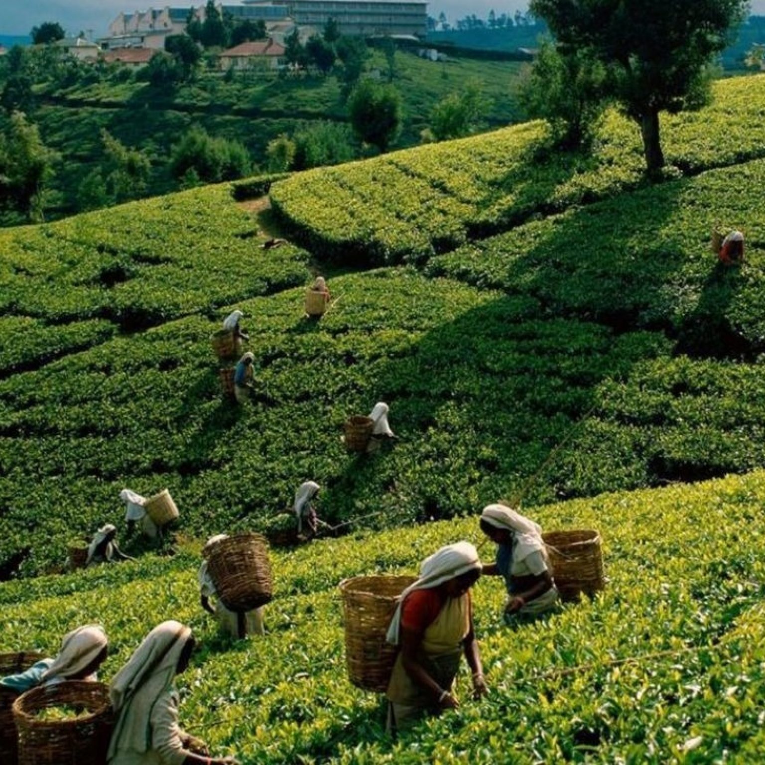 15 Destinations for Photography Tour in Bangladesh